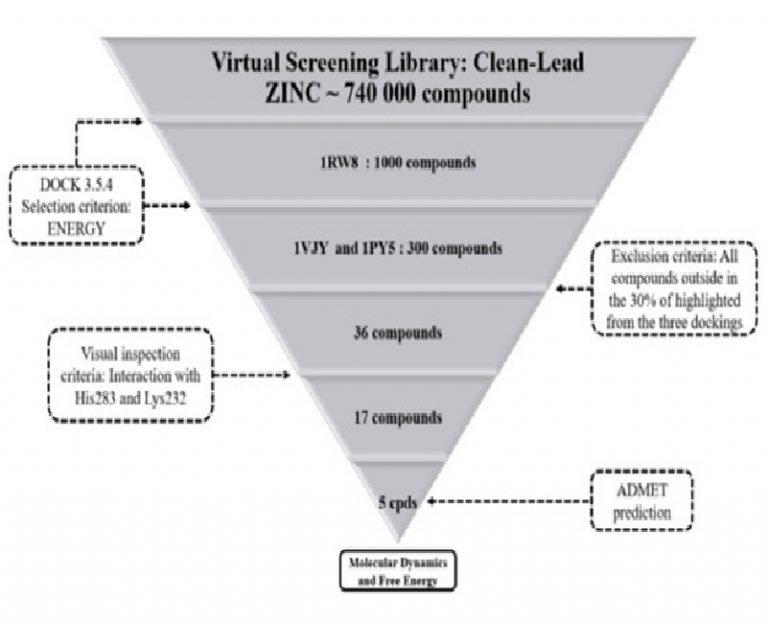 Structure Based Virtual Screening Molecular Dynamics And Binding Free